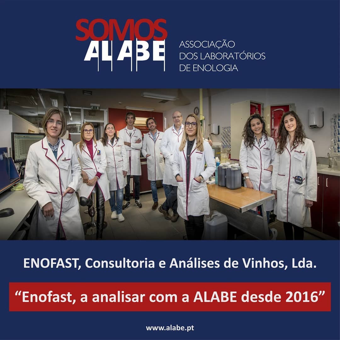 Clipping ALABE | ENOFAST, a analisar com a ALABE desde 2016